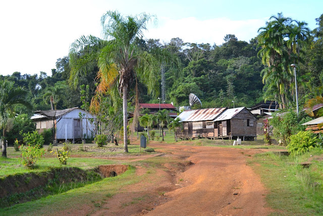 Guyane : un week-end randonnée à Saül. - Les rêveries d'Isisya