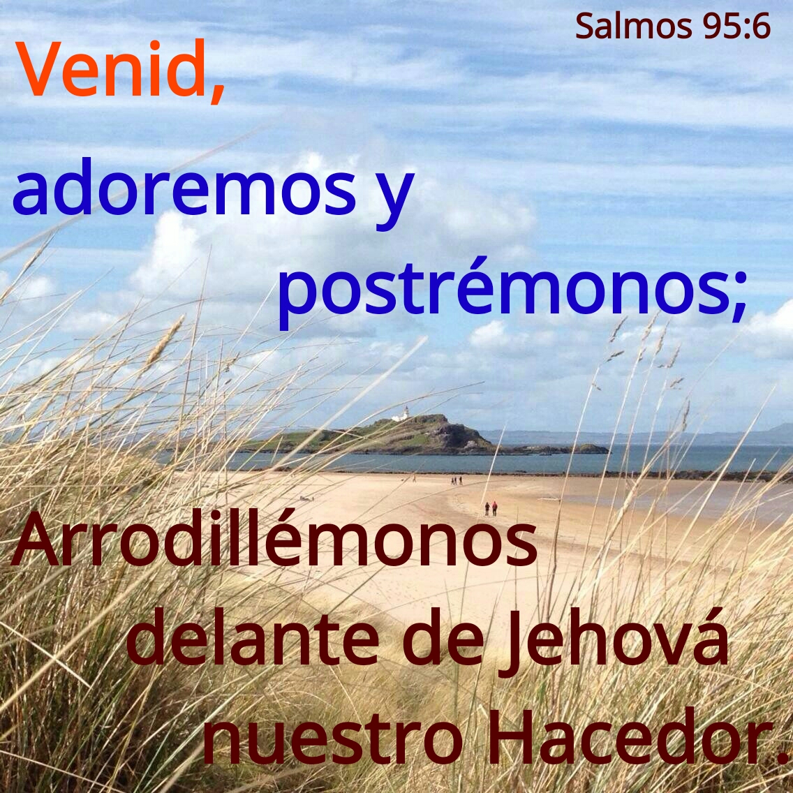 ANTOFAGASTA RELIGIOSA: LA BIBLIA: SALMOS 95