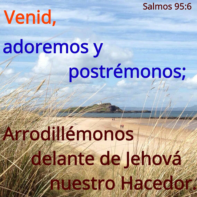ANTOFAGASTA RELIGIOSA: LA BIBLIA: SALMOS 95