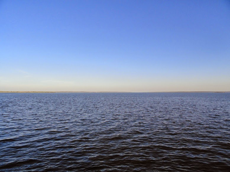 Guias de turismo de Salamanca: UN MAR EN ALMENDRA