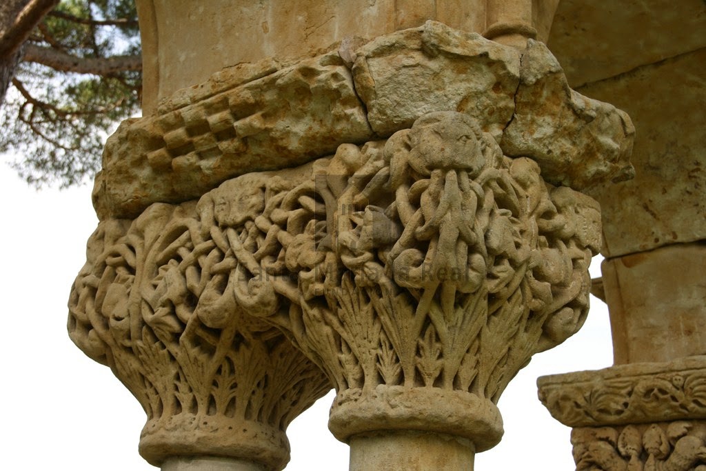 Capiteles romanicos Palamos: Capitel entrelazado vegetal