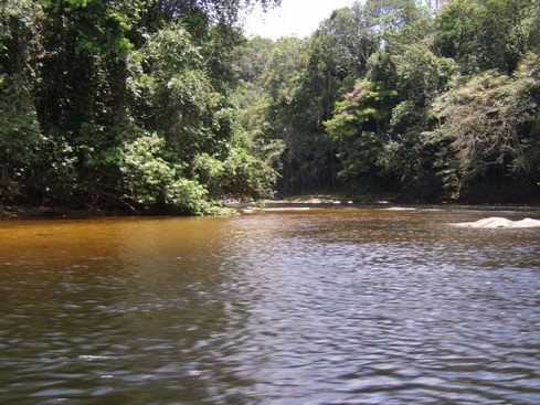 VENEZUELA FISHING: EXPEDITION CAURA RIVER/FOTOGALERIA