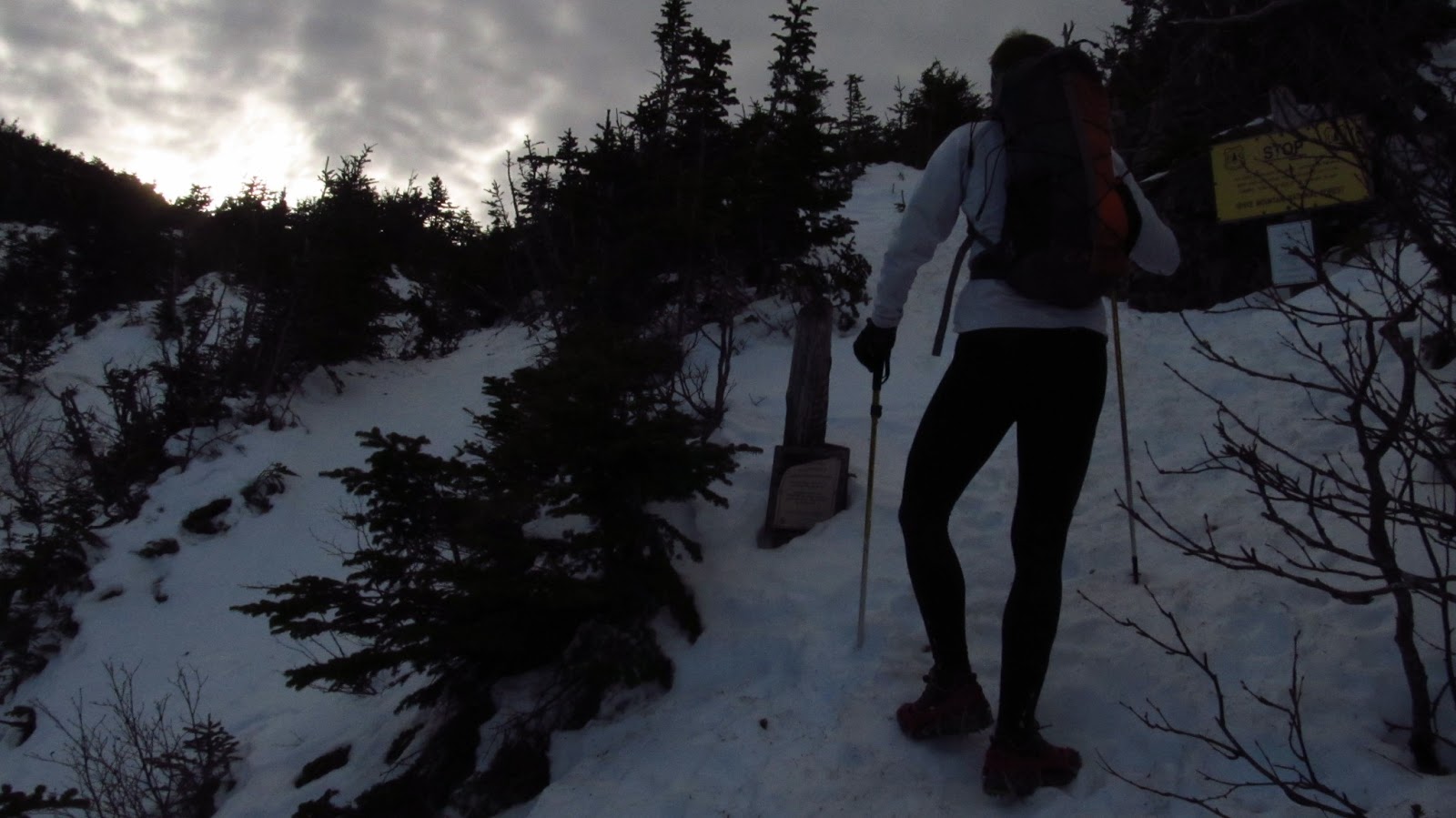 A Glimpse Inside the Head of a Mountain Man: Winter Presidential ...