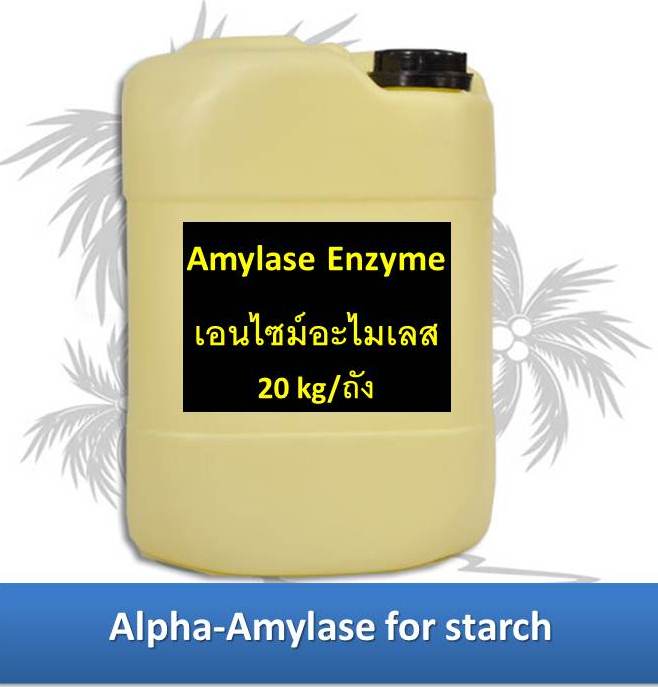 High Performance alpha-amylase Enzyme | ขายเอนไซม์ คุณภาพสูงจาก ญี่ปุ่น ...