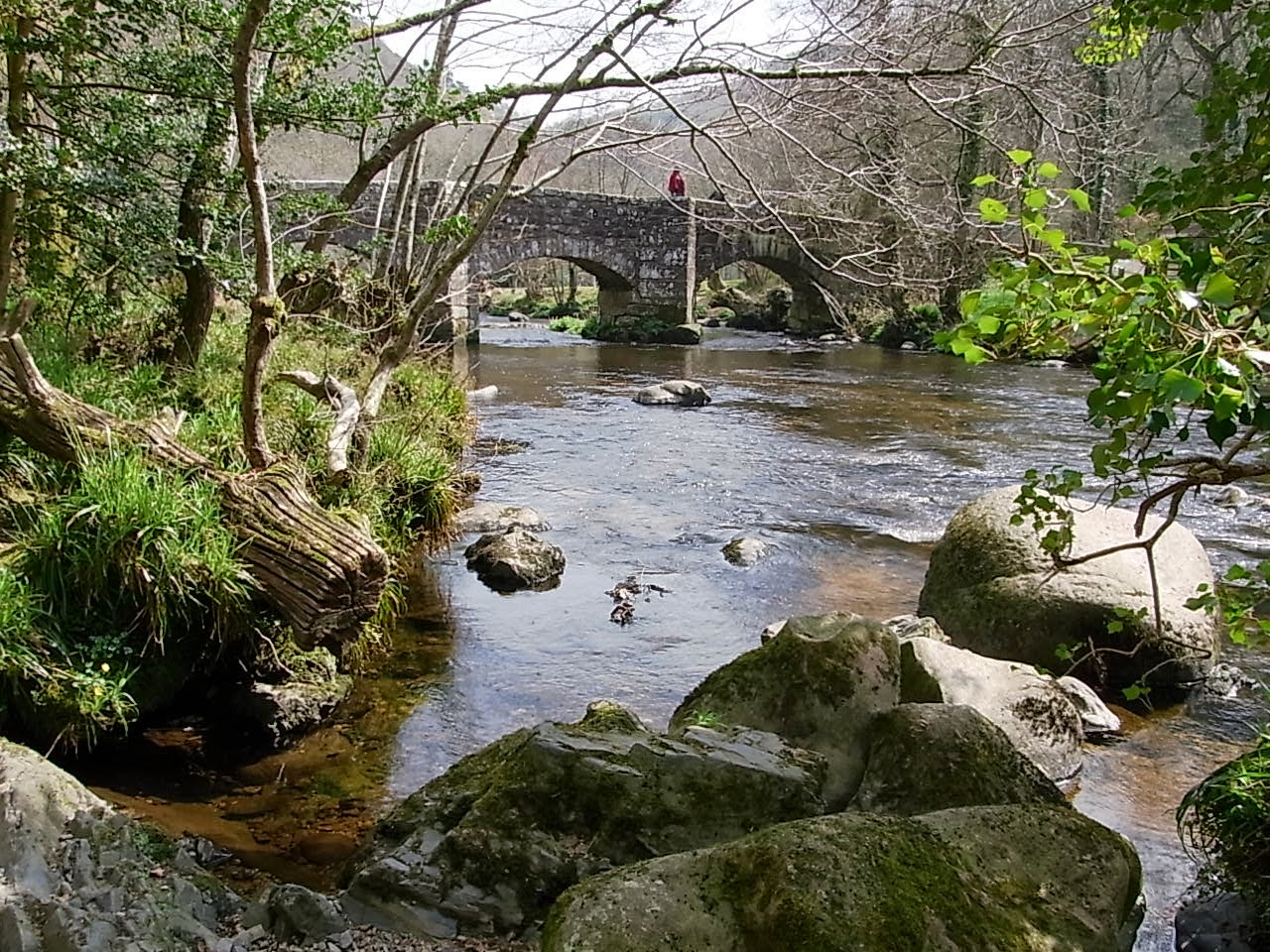 The Original PurpleTraveller....: A visit to Fingle Bridge....