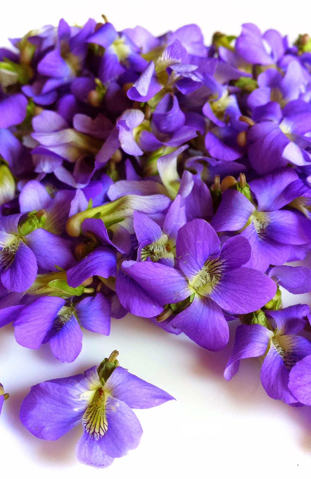 WJM BEVERAGE: DIY Crème de Violette