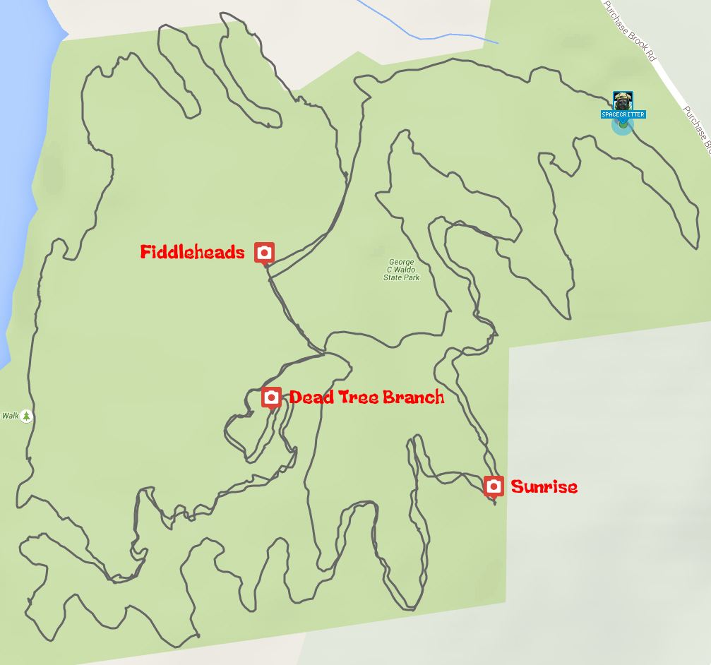 New England Mountain Bike Association, Central CT Chapter: George C ...