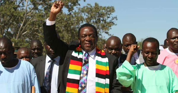 PICS : RUGARE | Mafaro