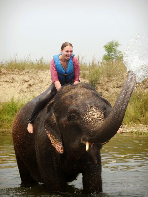 Antipodeans Stories: Chitwan National Park, a crying baby and rhino or two