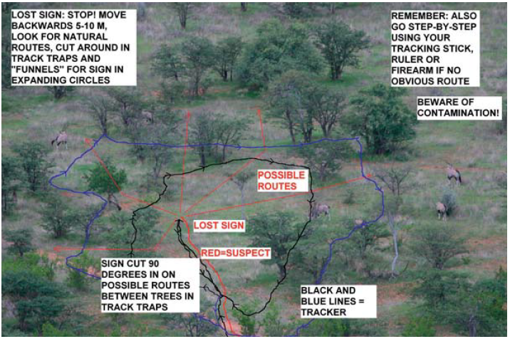 The Spec Ops Blog: Man-tracking: Lost-track procedures
