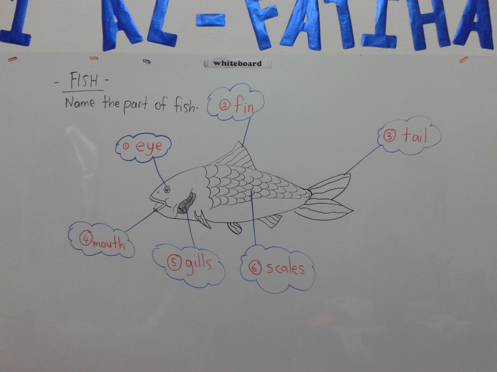TEACHER ROSHNA'S BLOGS: Parts of a Fish