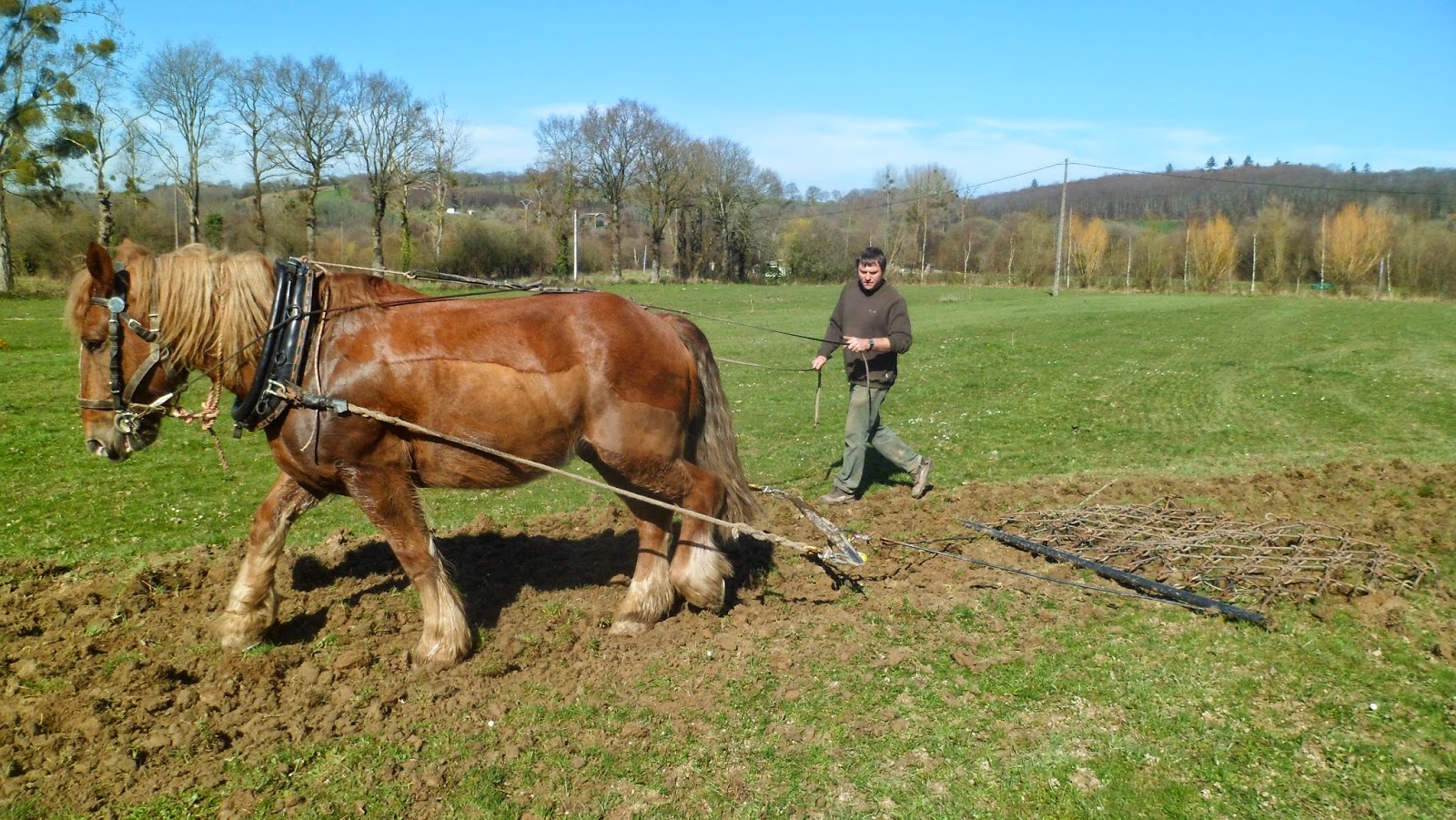 LA FERME DU FAIRE A CHEVAL Centre de Réflexion et de Formation à La ...