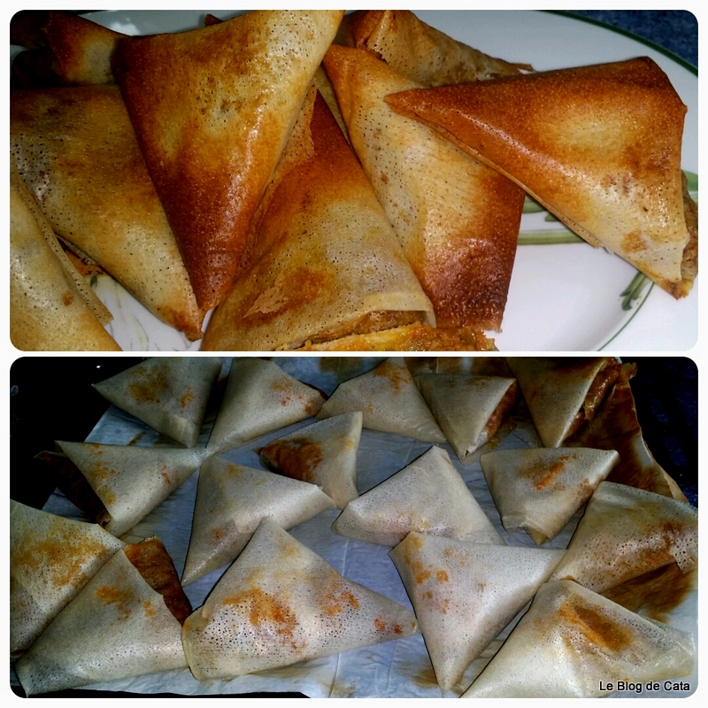 Le blog de Cata: Samoussa au boeuf