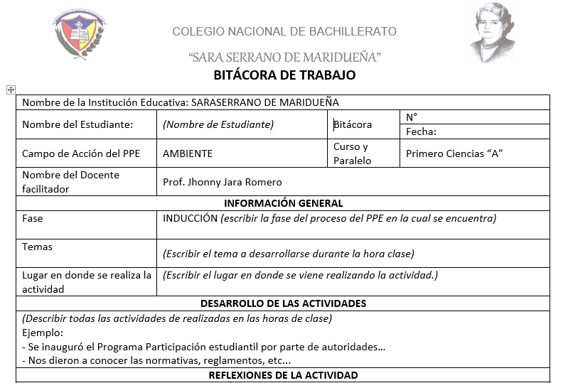 Tu Docente TICs: Formato de Bitácora PPE 2018