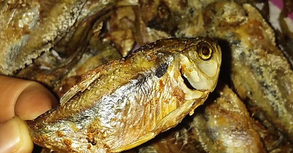 Delícia de Cozinha: Lambari frito na airfryer