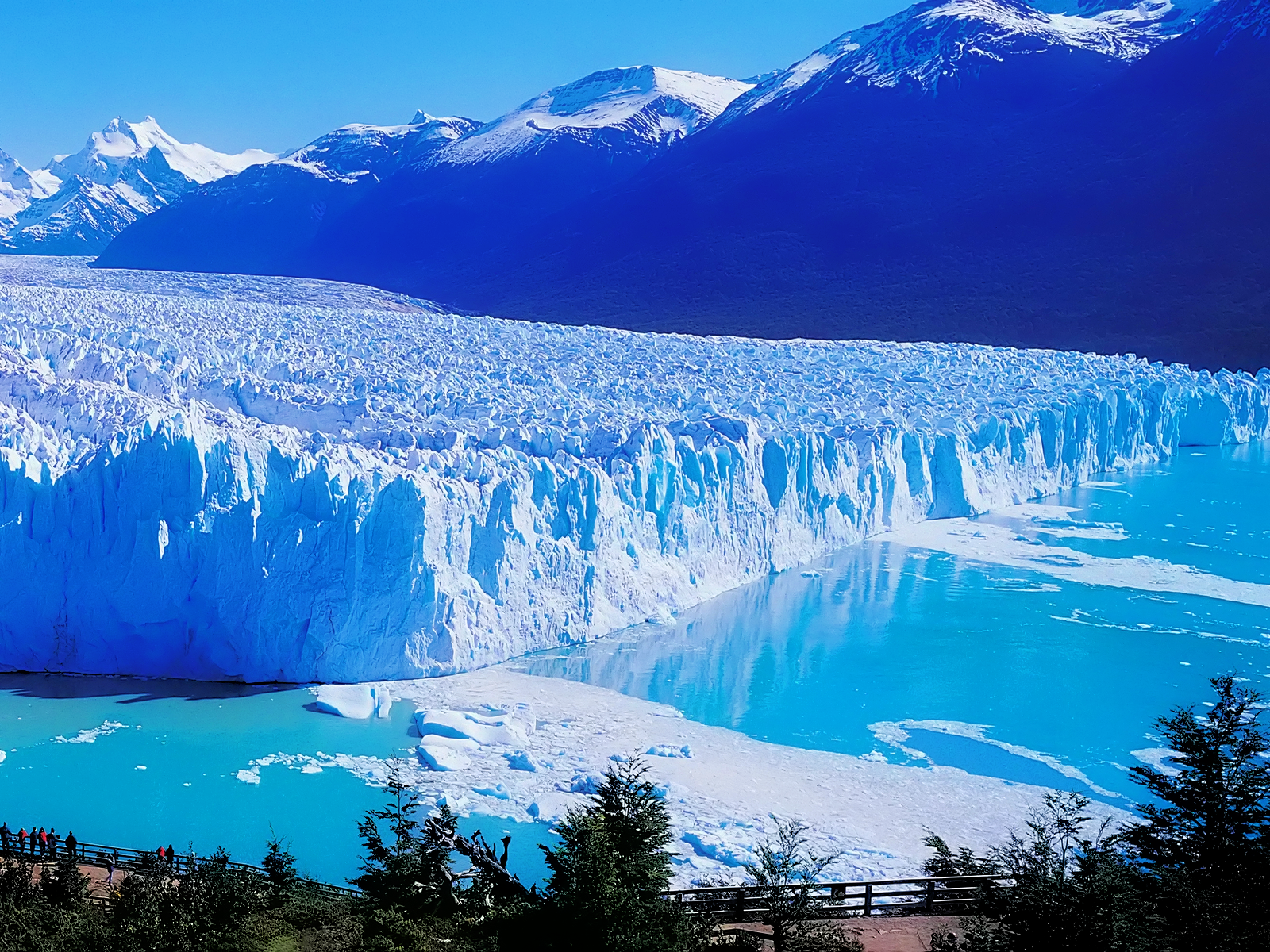 violetas: GLACIAR PERITO MORENO