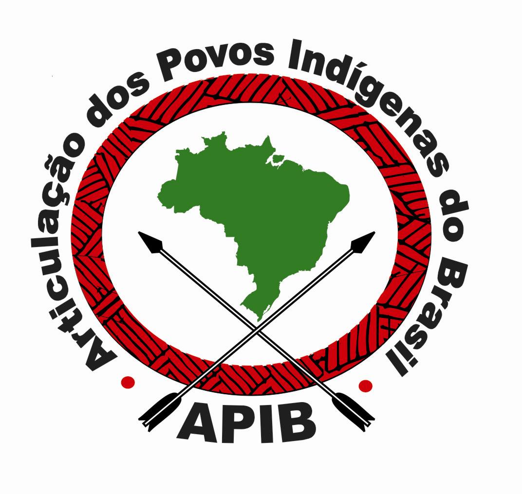 ARTICULAÇÃO DOS POVOS INDÍGENAS DO BRASIL APIB: CHAMADO AOS POVOS ...