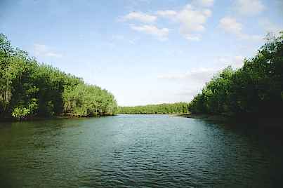 Disfruta de la flora y fauna de la Reserva Nacional de Tumbes - Mi Ruta ...