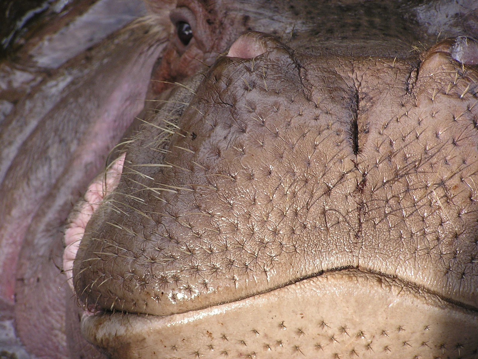 Lauri's Stories: June 2013