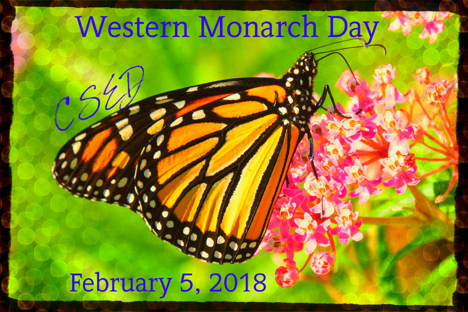 Crazy Days To Celebrate: February 5, 2018