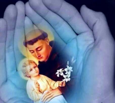 புனித அந்தோணியார் செய்த புதுமை நிகழ்வுகள்