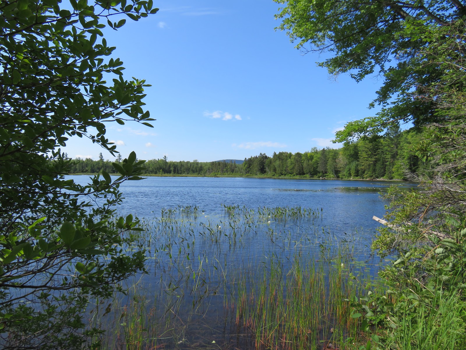 greenmon's folly: Aug 7 AT South from Monson Maine