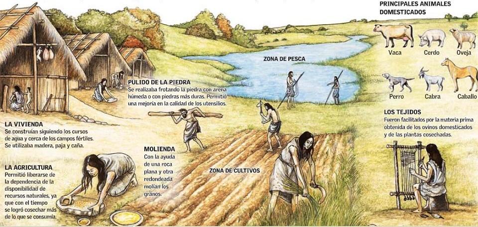Hombres y mujeres en sociedad: Prehistoria