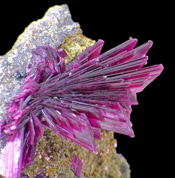 Stunning Erythrite - Geology In