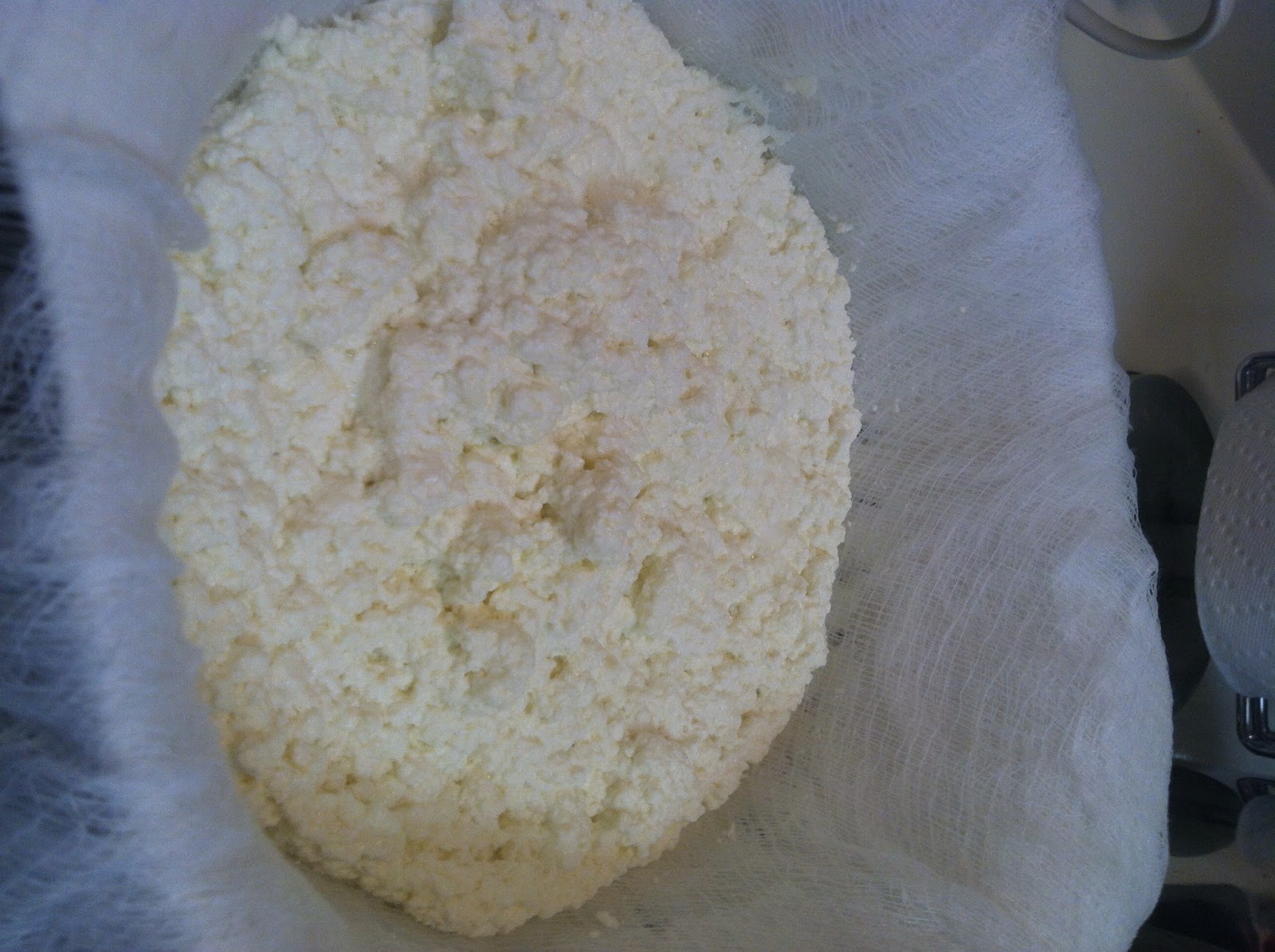 Farm to Table: Farmer's "Pot" Cheese