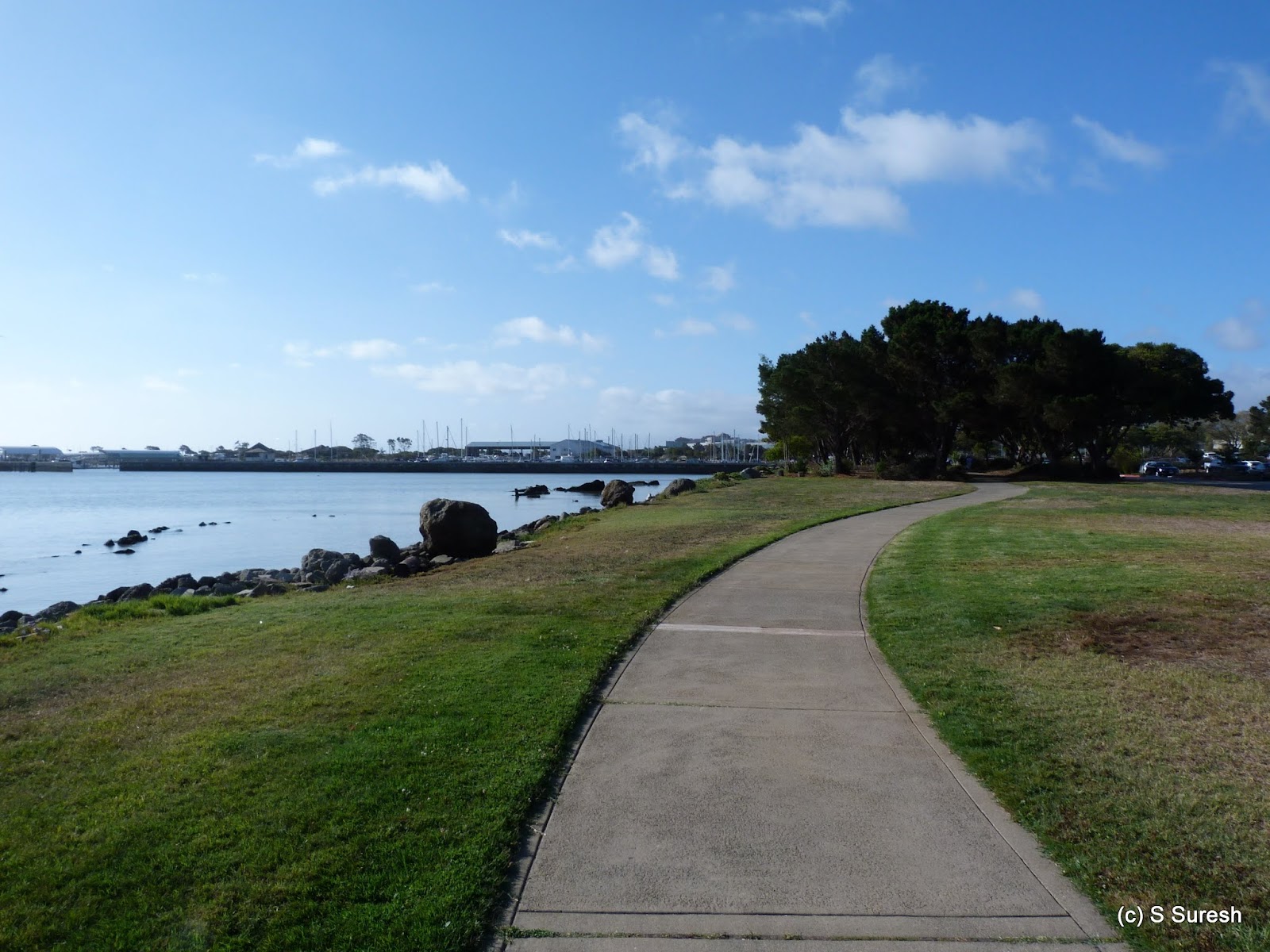 Dog Friendly Hikes: Oyster Point - Point San Bruno (SF Bay Trail) 2015 ...