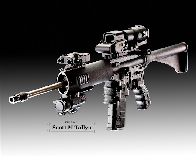 Professional Ordnance Carbon 15 AR-15 Day/Night (Weapon Build #2)