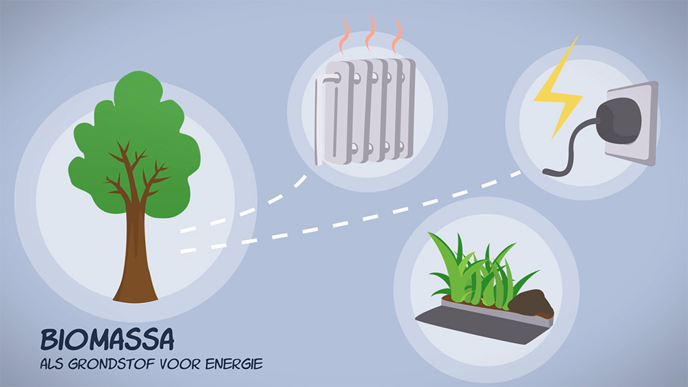 KimintekHijau.com: Energi Biomassa