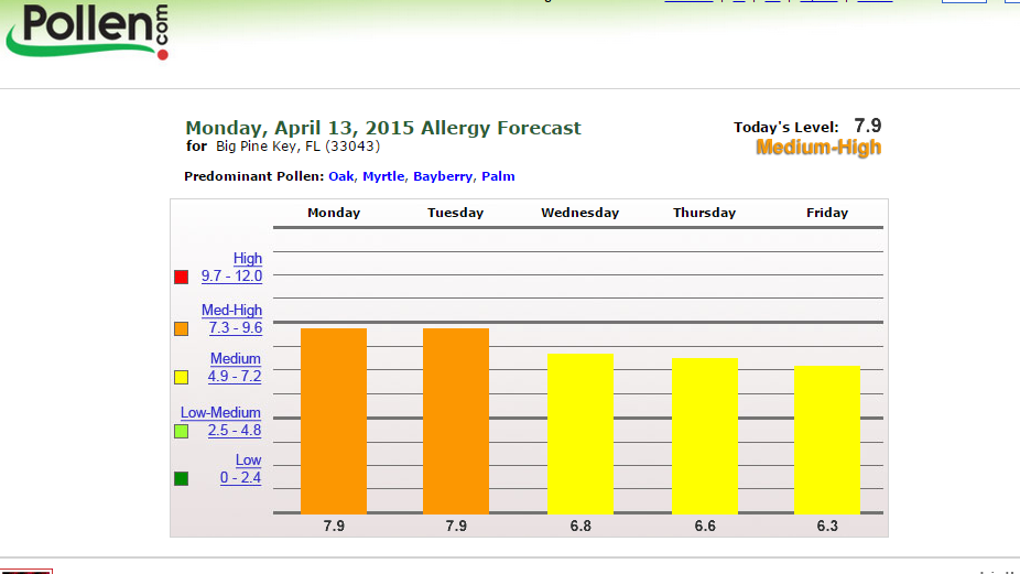 Hurricane Harbor: Pine Pollen Storm in Raleigh . . and across the South ...