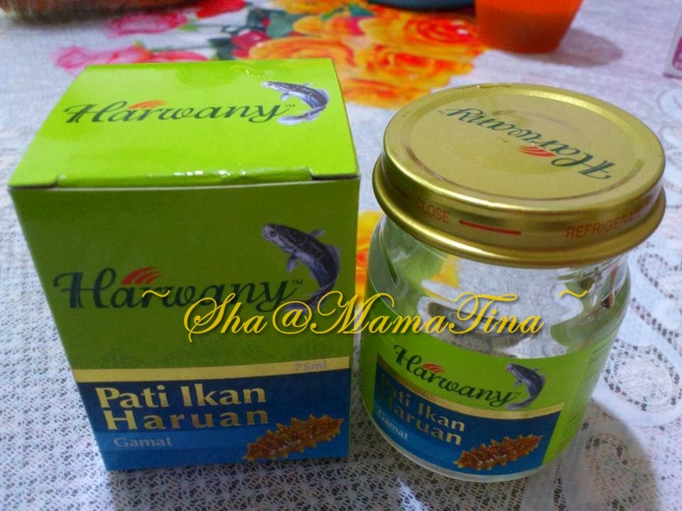 TinaMamaAbah: Pati Ikan Haruan Harwany