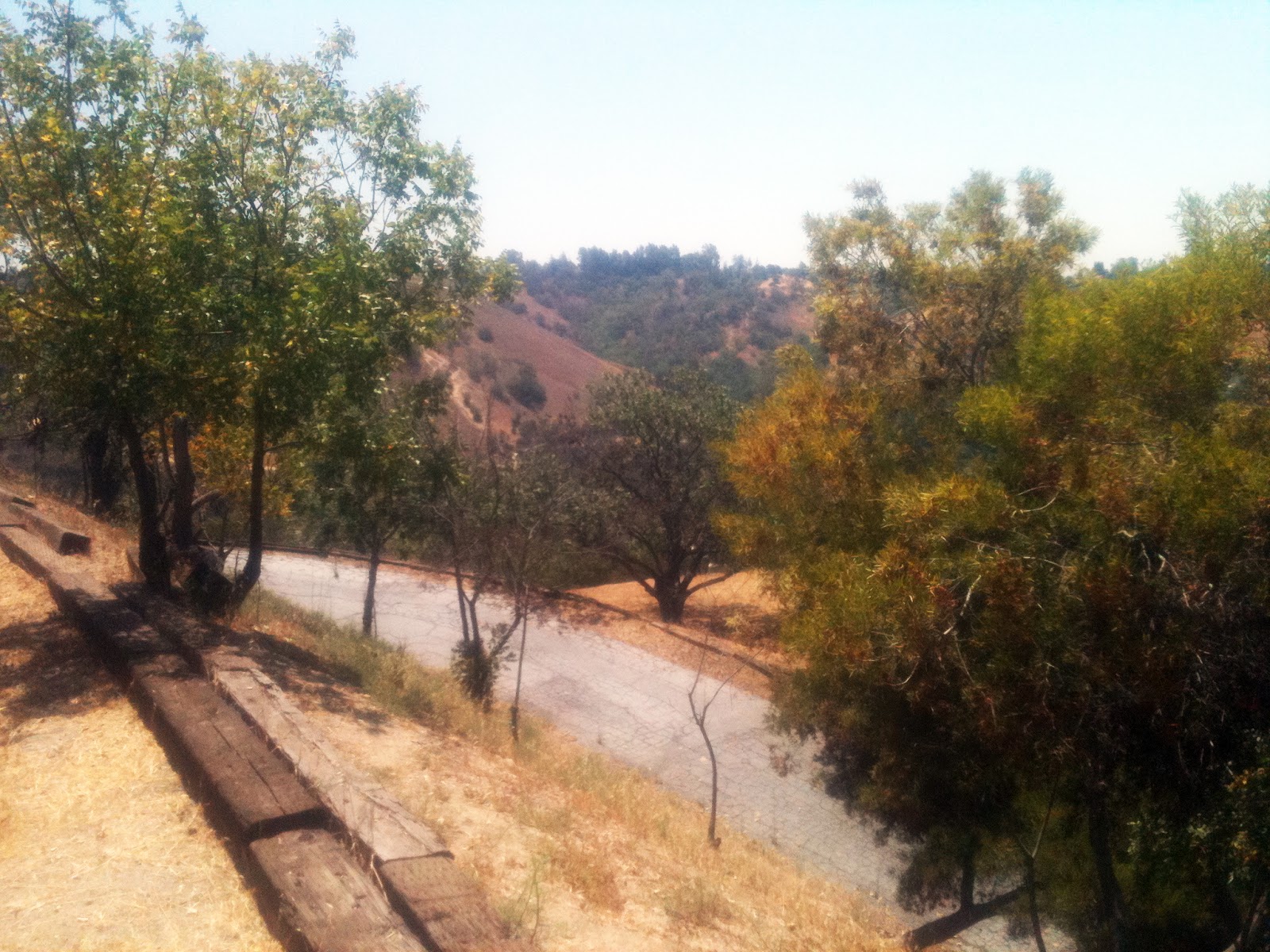 The Living Museum: Sycamore Grove