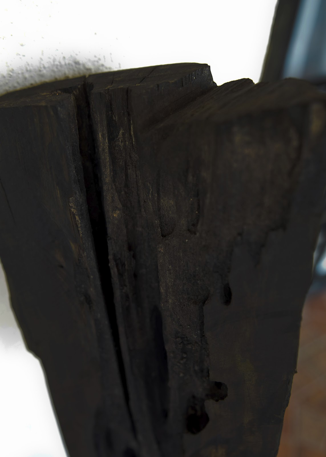 Kayu Warisan Malaysia: Kayu teras kemuning hitam / murraya paniculata