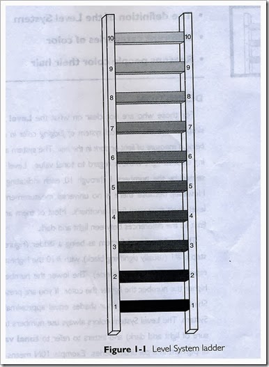 The Level System of Hair Color Does NOT Work (but Rarely ...