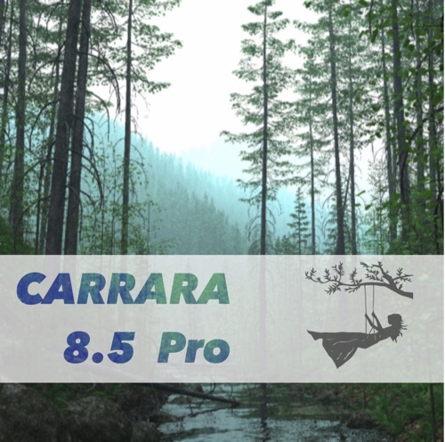 【DAZ 3D】3Dソフト『CARRARA 8.5 Pro』がセールで爆安だったので買ってみた