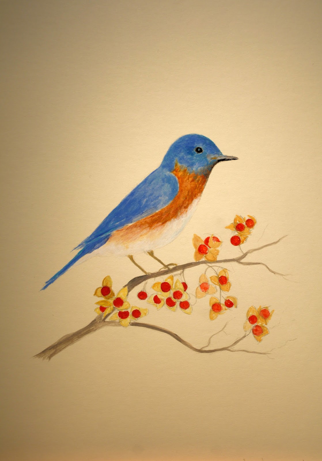 Painting An Eastern Bluebird In Acrylic (1)