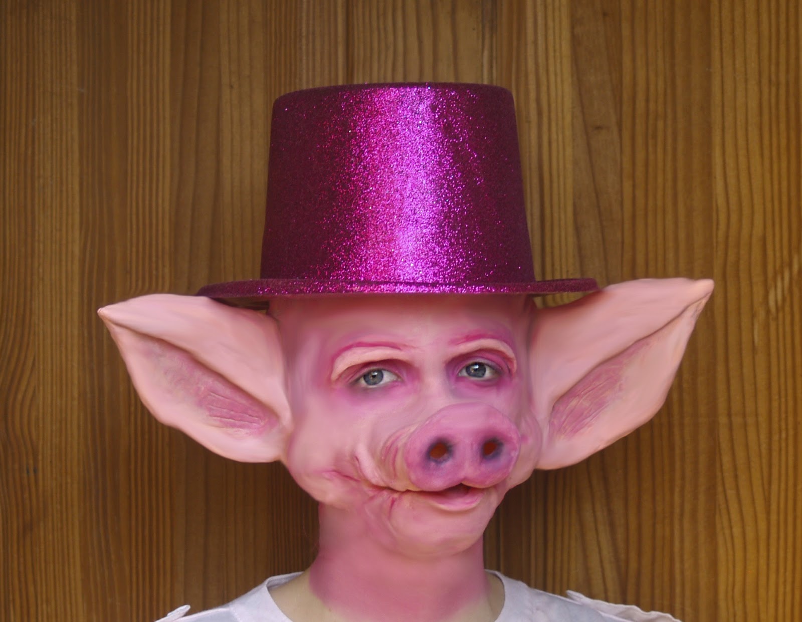 Make-up, Grime en fotografie: 'Feest' Varken