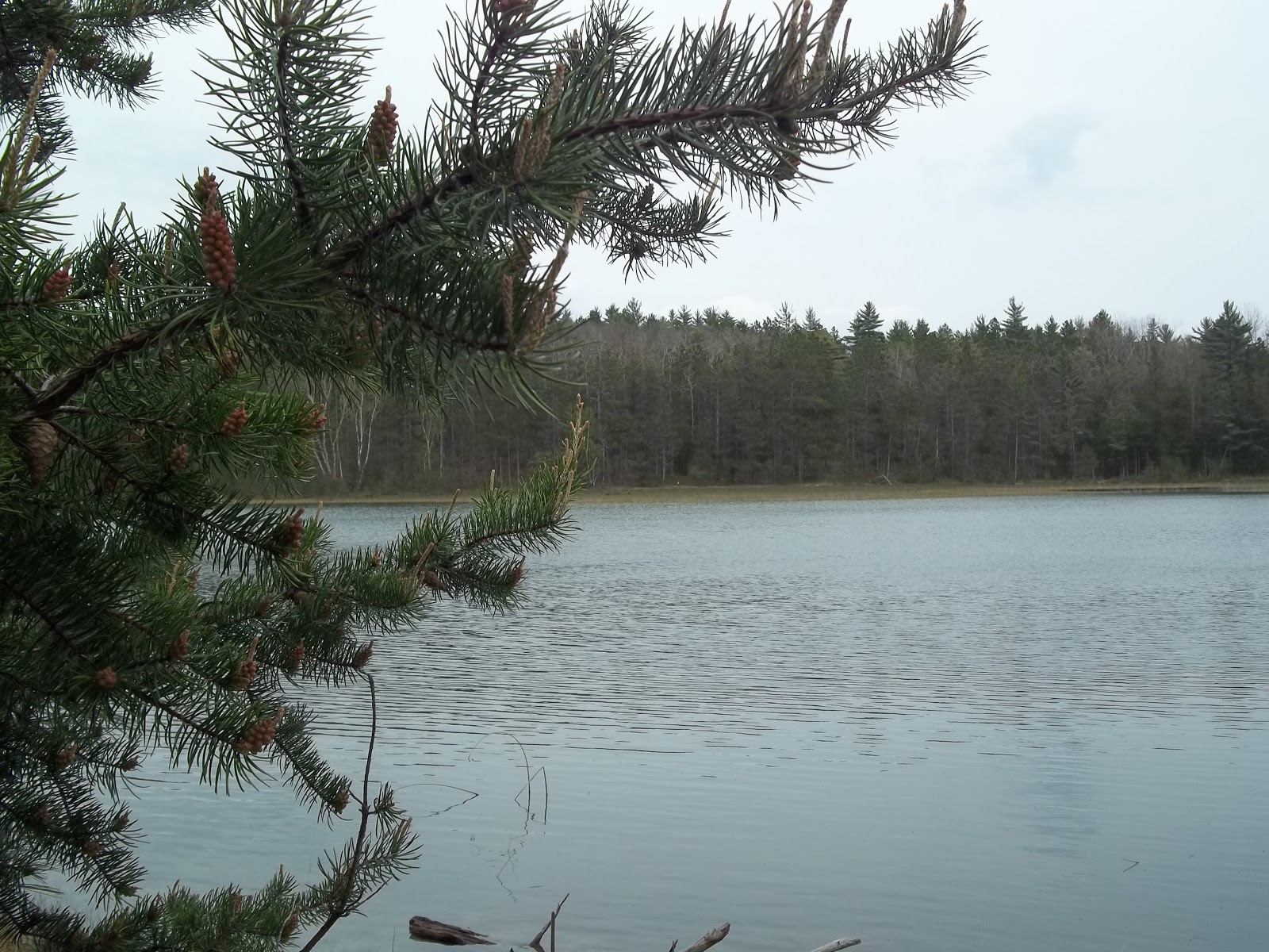 Lacing up my hiking boots: First trip of the year: backpacking Sand ...