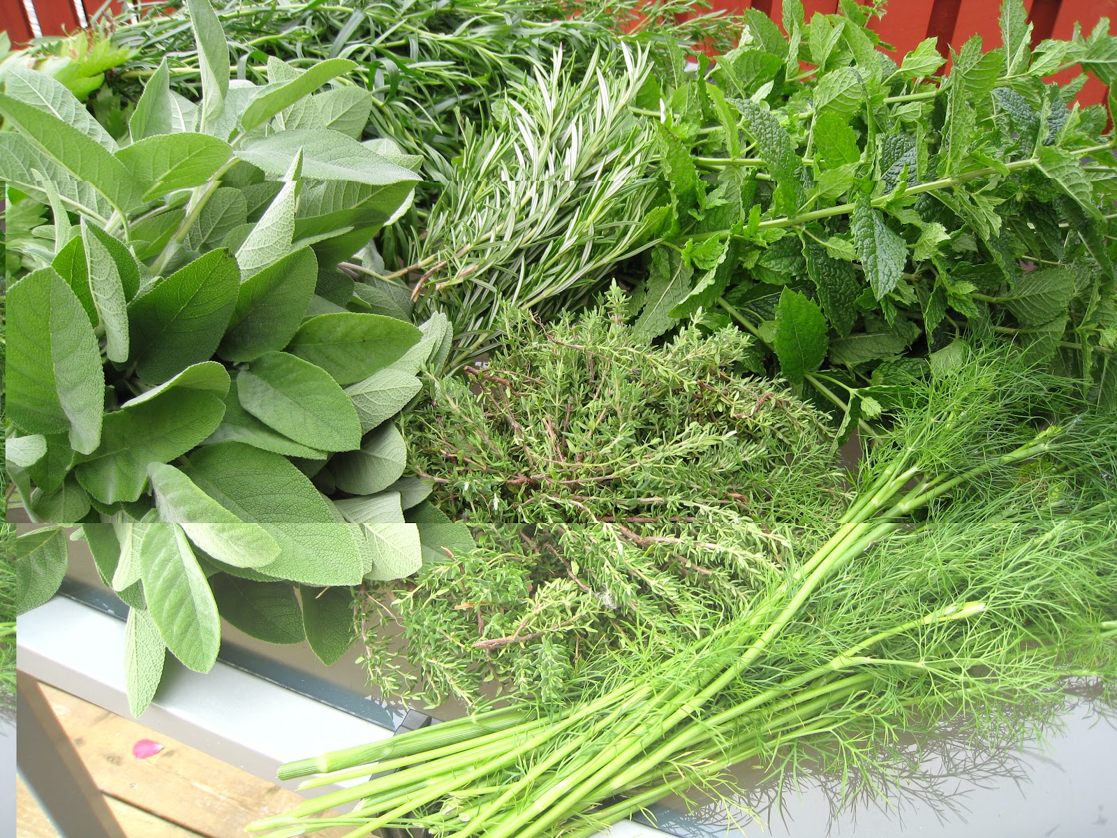 Trivsel: Høsting av krydder og forskjellige andre hendelser