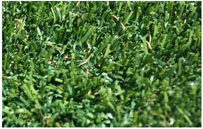 Blueish Green: Relva Artificial