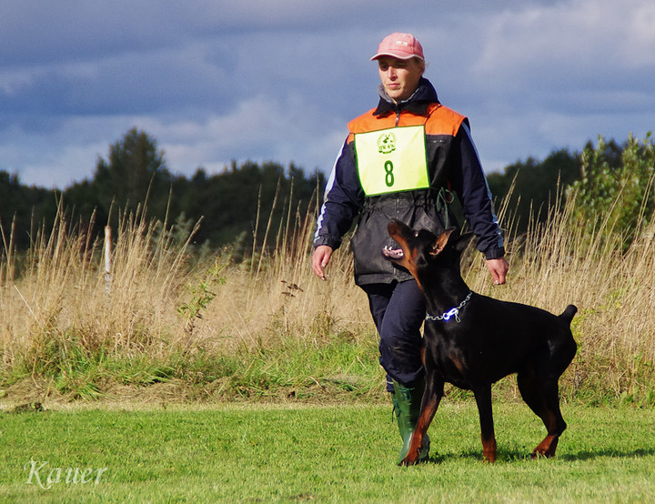Saksa Lambakoerte Klubi Uran: september 2011