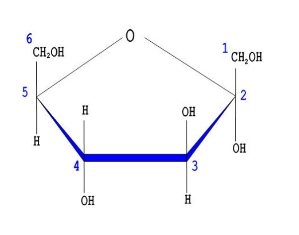 BIOLOGÍA 1Bachillerato OJA