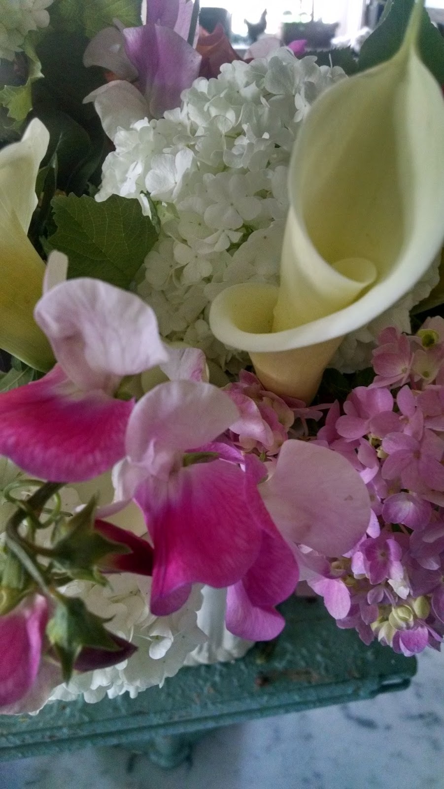 Windmill Farm: Flowers Flowers Flowers!!