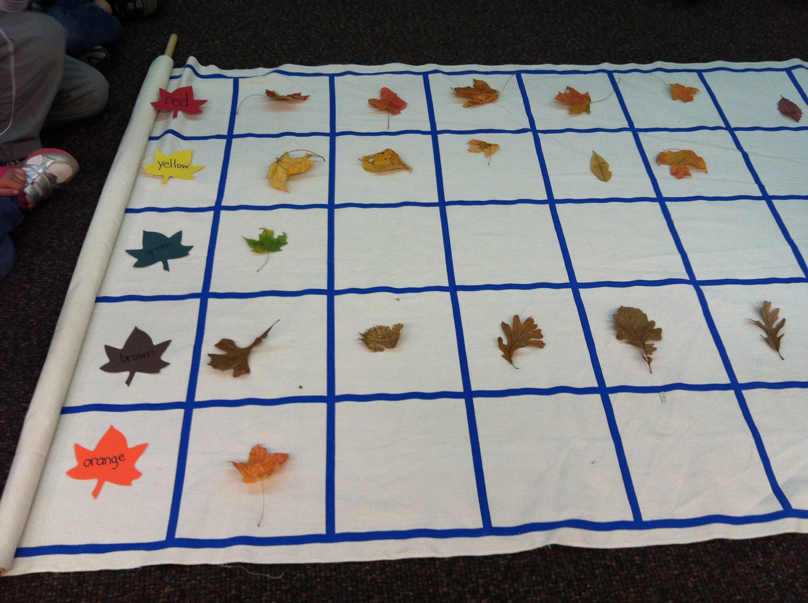 Mrs. Kurt's All Star Kindergarten Blog: Leaf Sorting and Assessments