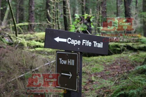 Haida Gwaii Tourism: Hiking the Cape Fife Trail