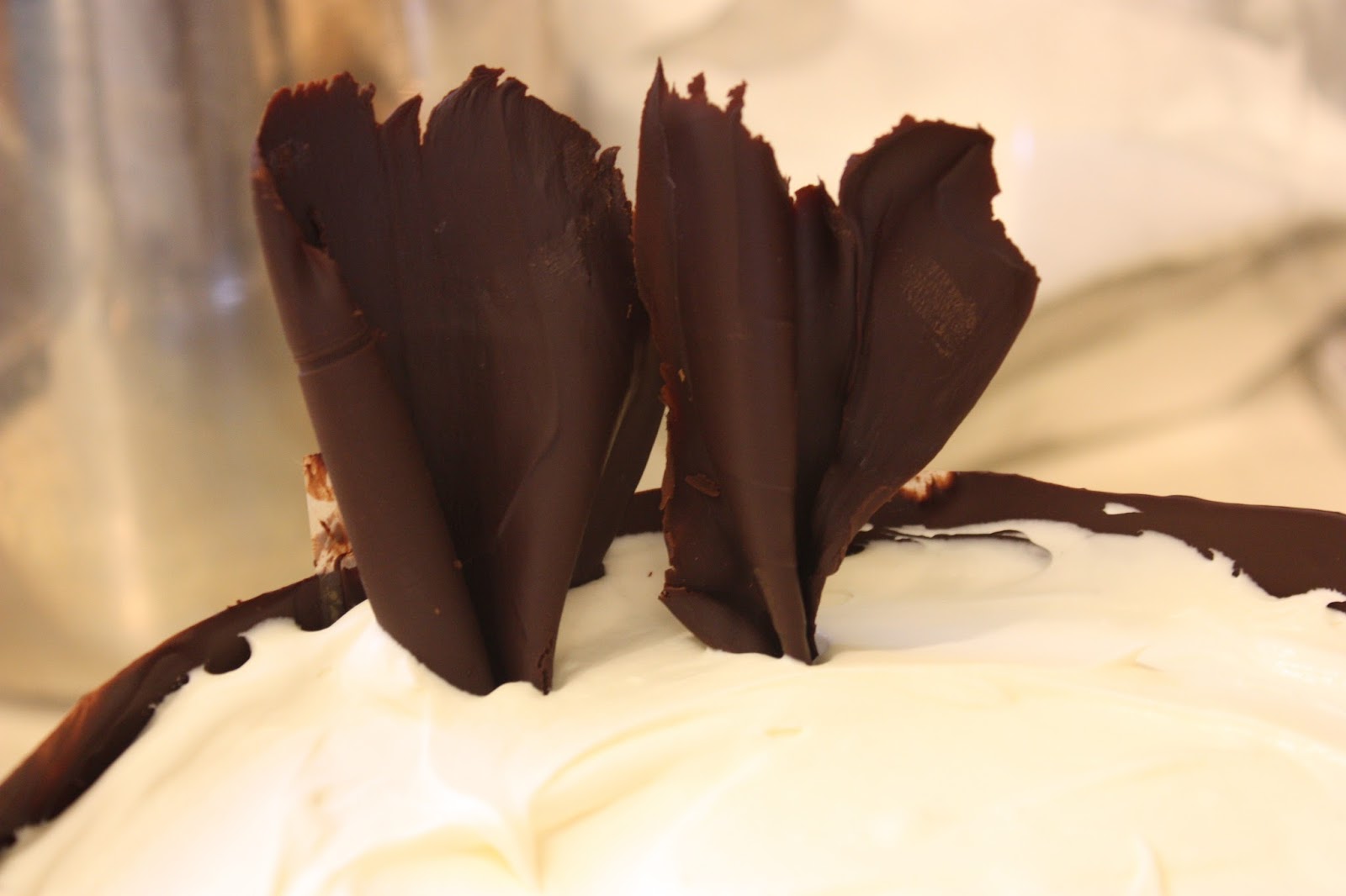 Kathleen's Baking Adventures: Chocolate Ruffle Cake - TWD: Baking with ...