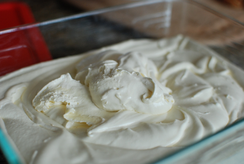 Coconut Ice Cream - Simply So Good